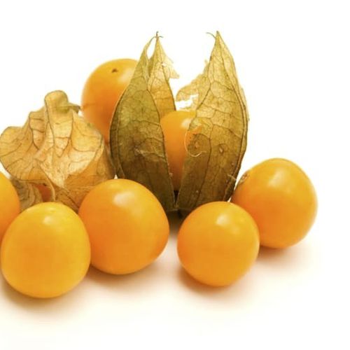 Incaberries: The New Superfood? | NaturalTherapyPages.com.au