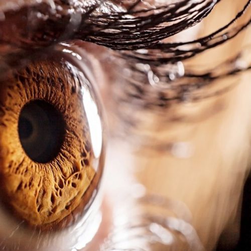 JulEye is National Eye Health Awareness Month | Importance of Eye Care ...