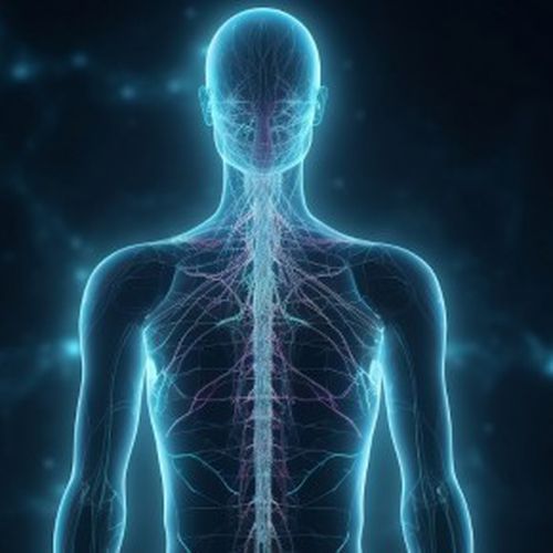 Exploring the human energy field: your aura, chakras & wellbeing ...