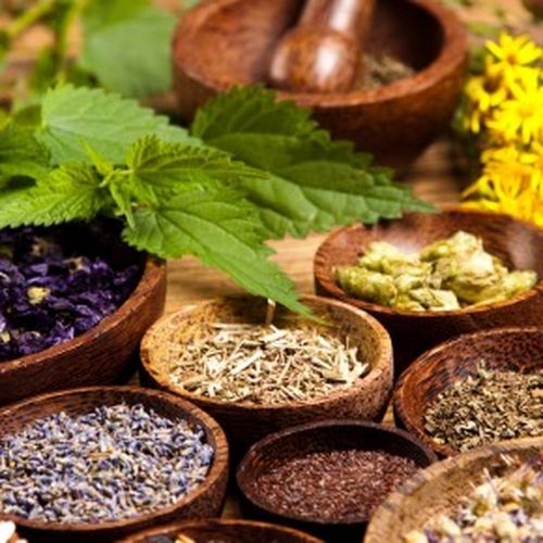 Natural immune boosters for health & recovery | NaturalTherapyPages.com.au