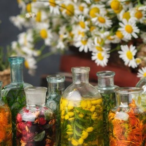 A complete guide to naturopathy in Australia | NaturalTherapyPages.com.au