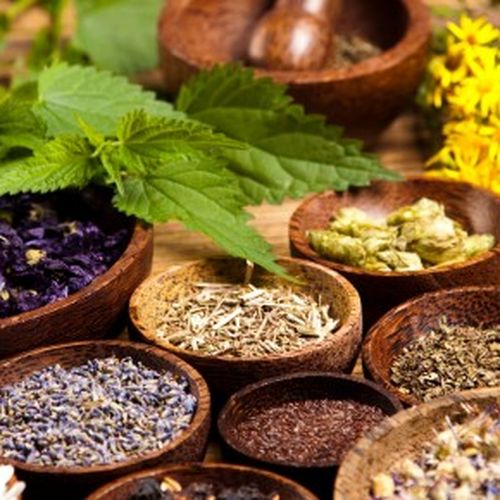 Aboriginal bush medicine: healing wisdom in Australia ...