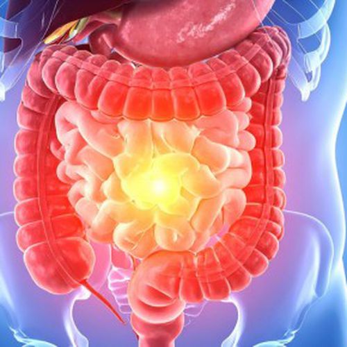 Colon Hydrotherapy for a Lighter New Year Reset | NaturalTherapyPages ...