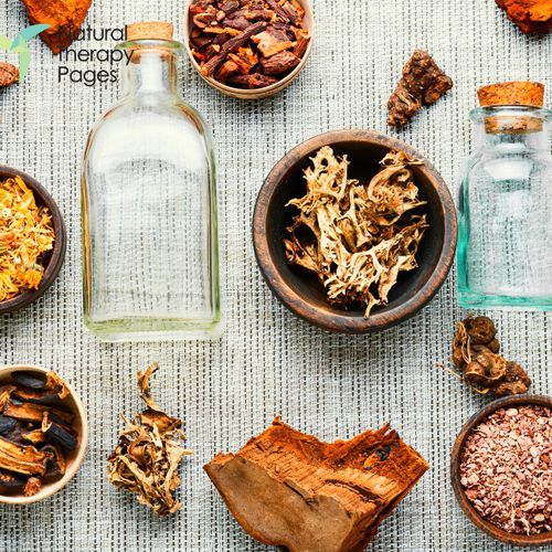 7 Reasons Naturopathy Courses Go Deeper Than You Think ...