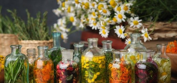 A complete guide to naturopathy in Australia | NaturalTherapyPages.com.au